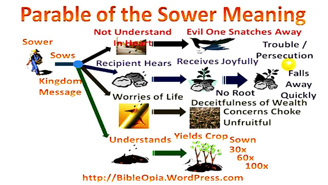 The Parable Of The Sower!