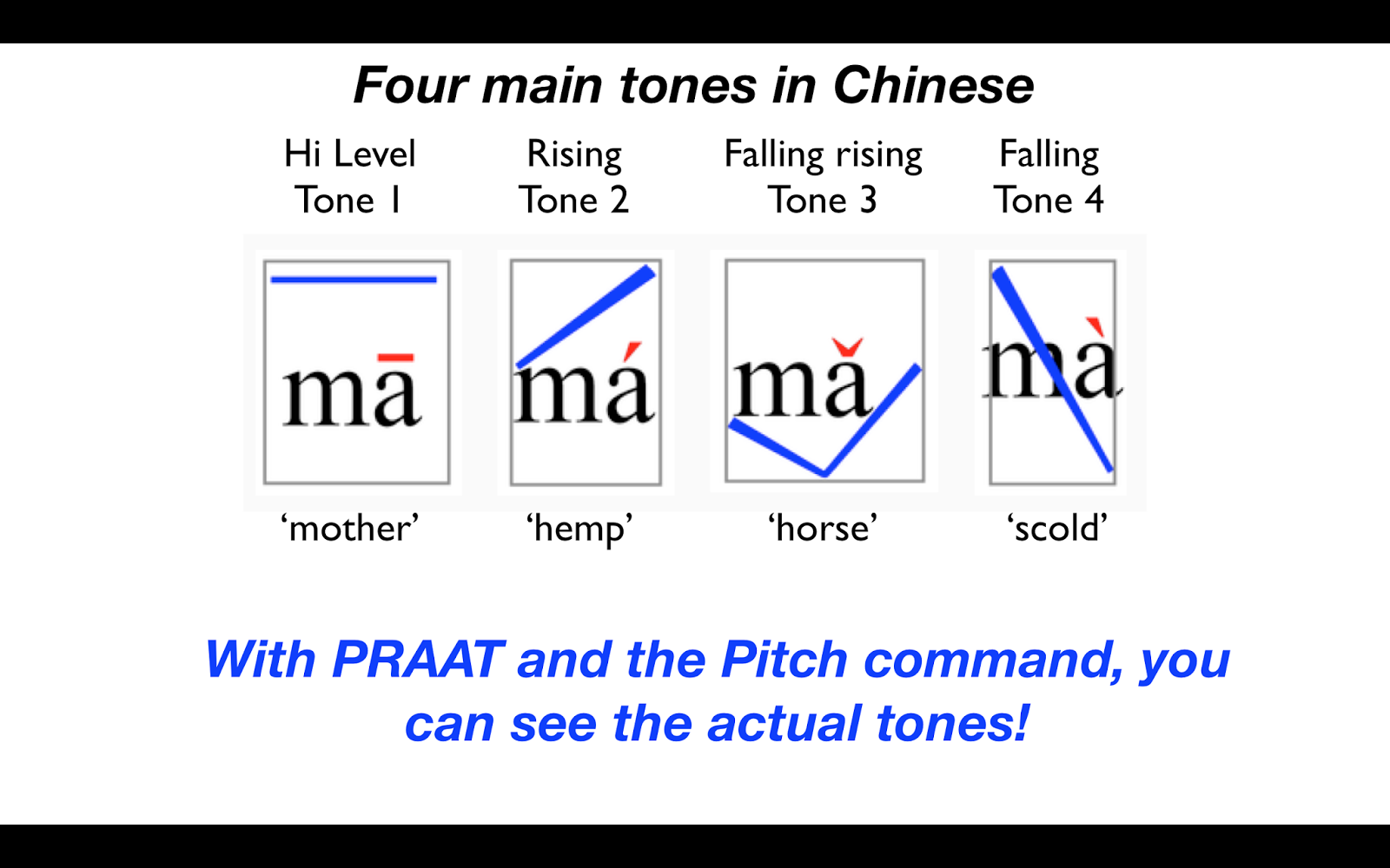 PHONETICS AND PHONOLOGY created by Cristian C Cuesta G=48
