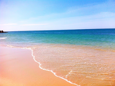 ¡La Hermosa Península de Araya, Estado Sucre! - Ventur Destinos