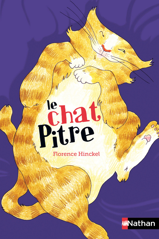 French Vocabulary Illustrated: pitre