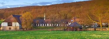 Tabasco's Tagebuch: Trakehner - Gestüt Webelsgrund oder wenn man bei ...