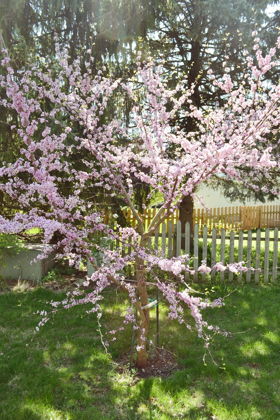 she breathed deeply.