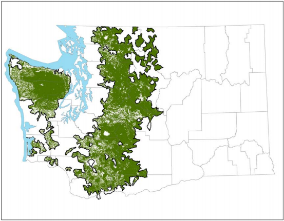 BIOL105 | WESTERN WASHINGTON BIOLOGY & BEYOND!: Northern Spotted Owl