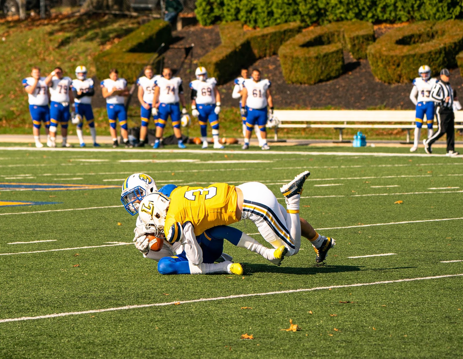 Lycoming Football: Lycoming Football Photo Album - Warriors Dominate ...