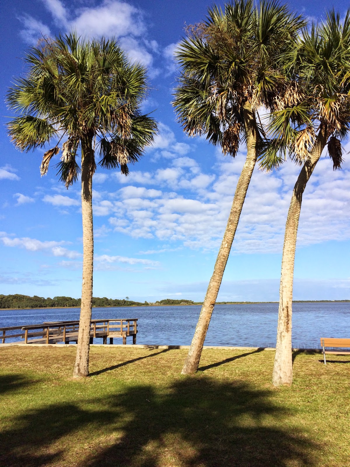 St. Aug Blog: Visit the Princess Place Preserve : Oldest Homestead in ...