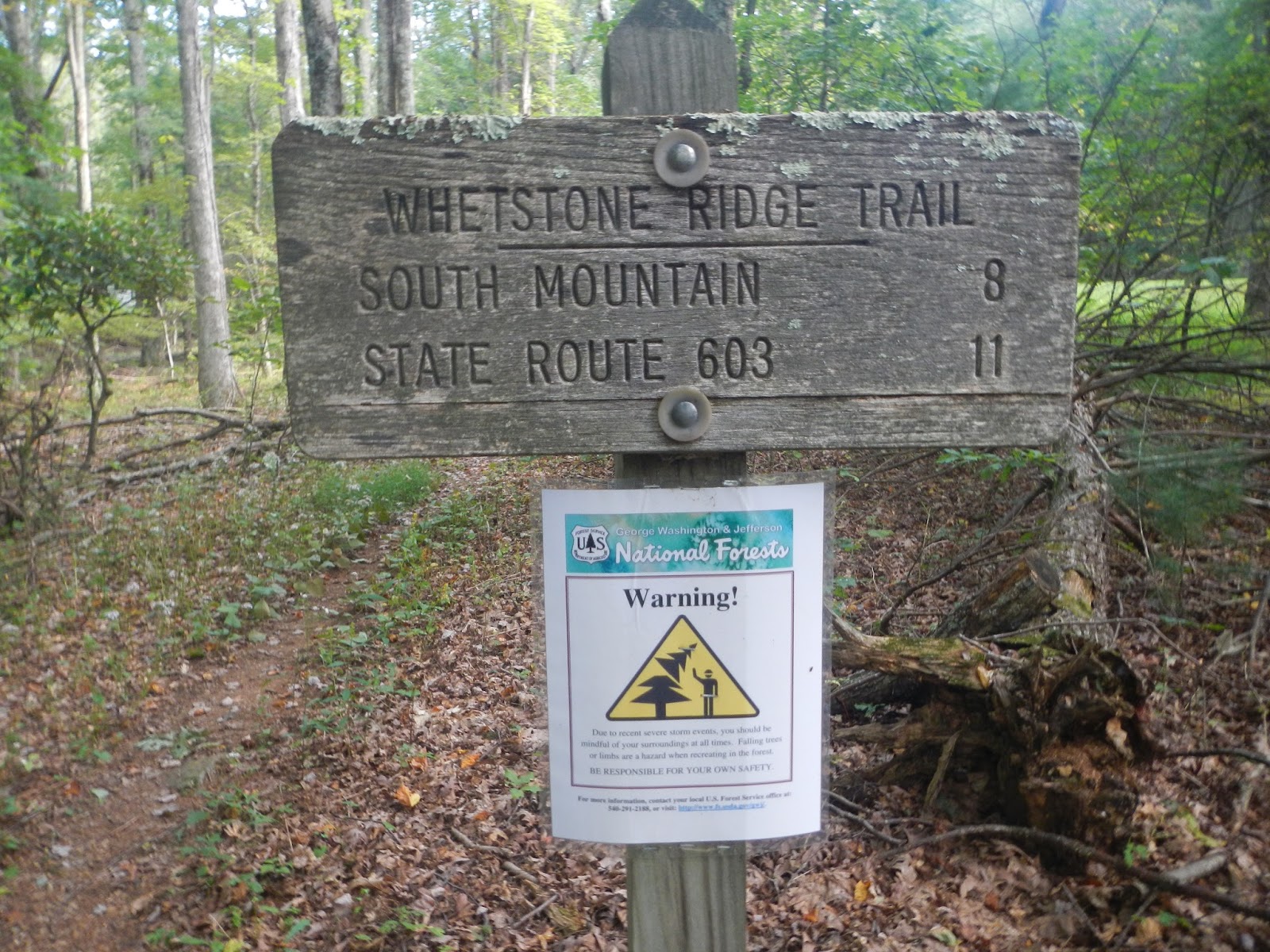 Wandering Virginia: Whetstone Ridge Trail, September 9, 2013