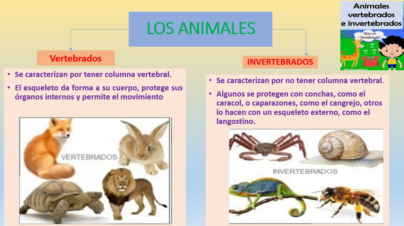 Ciencias Naturales