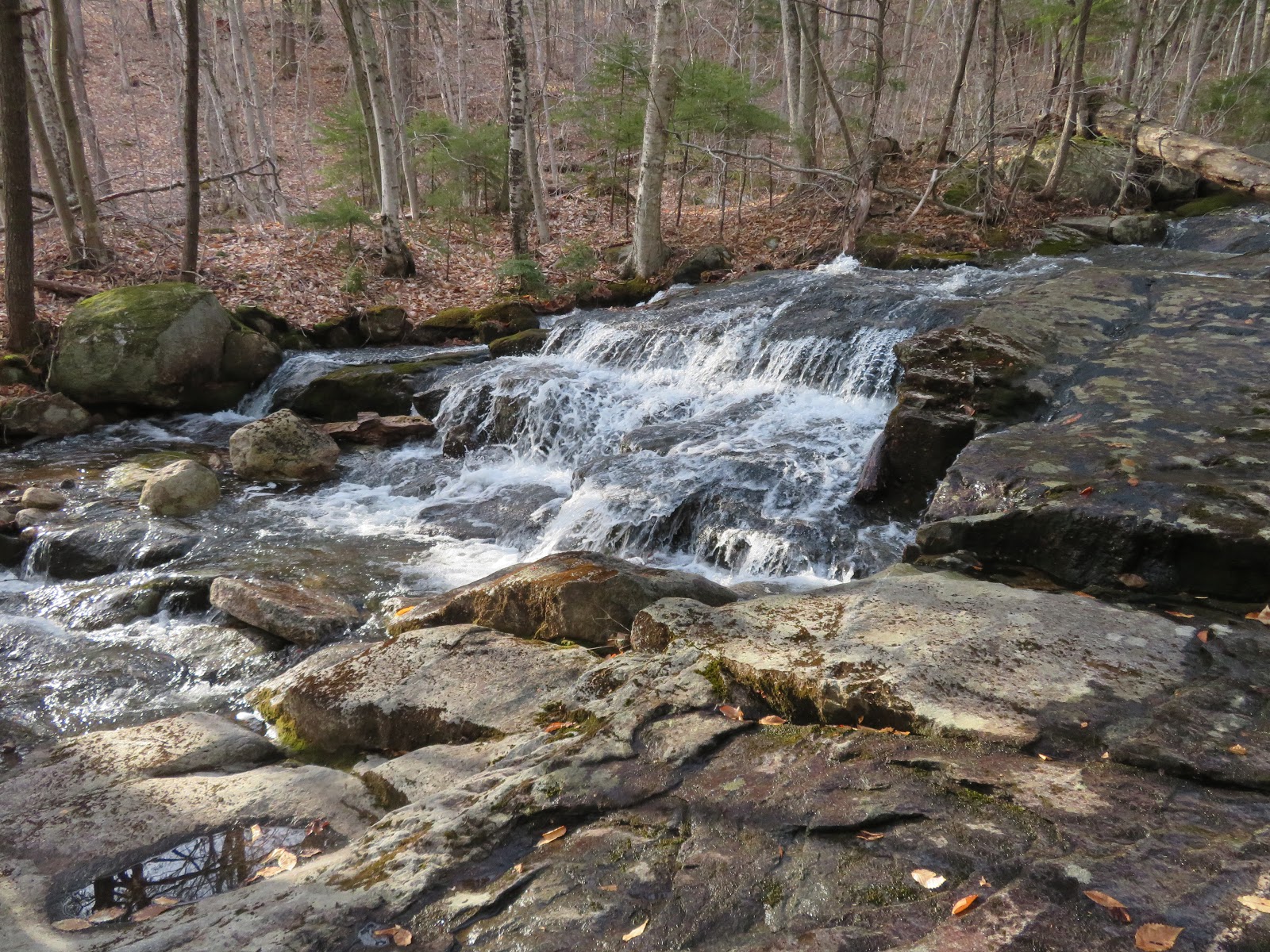 Mountain Wandering: Sandwich Notch Ponds and History Ramble