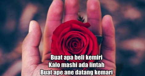 Contoh Pantun Cinta Romantis | SEPIL