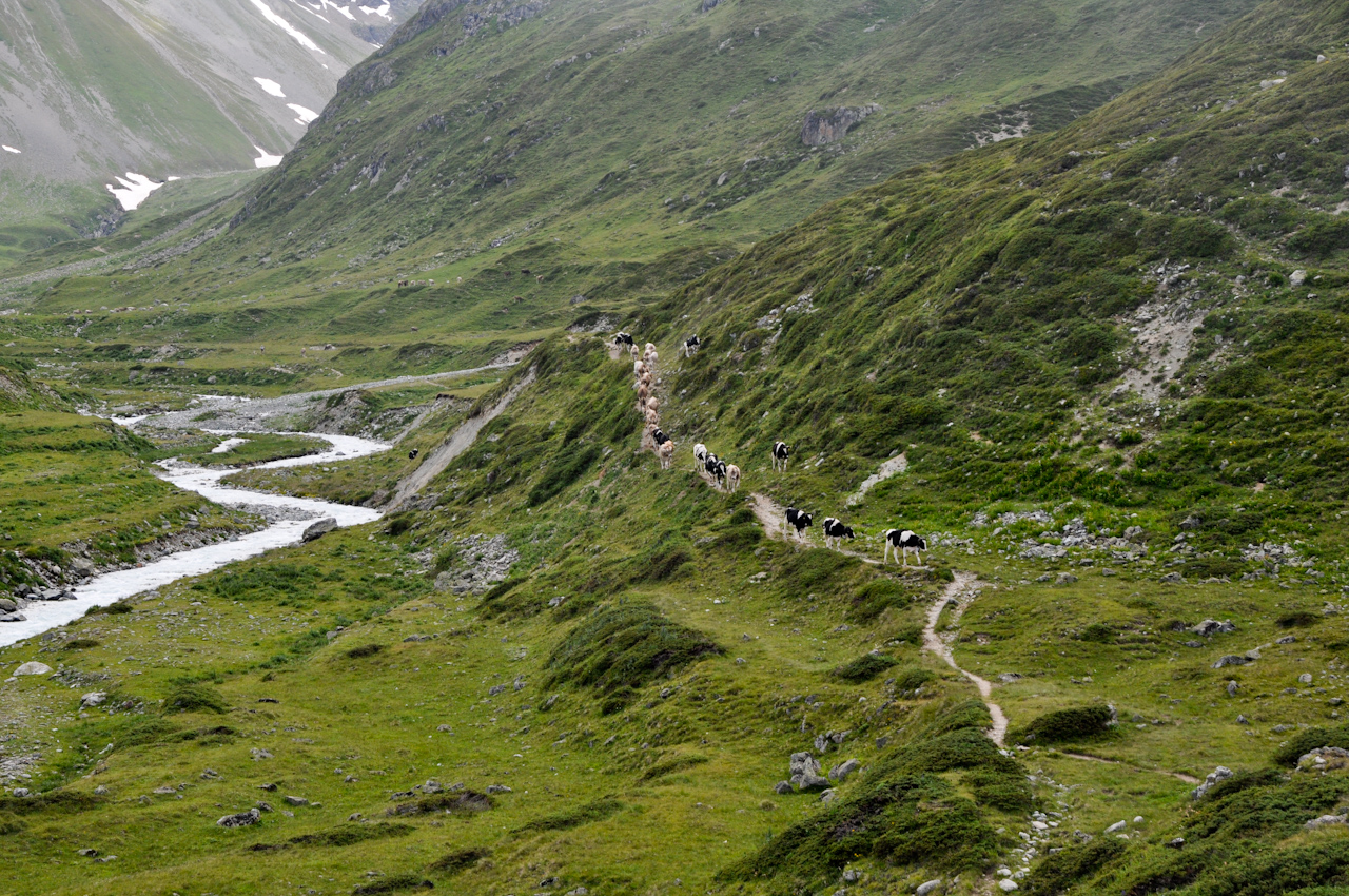 Bernina Trek - 4 Tage im Oberengadin [hikr.org]