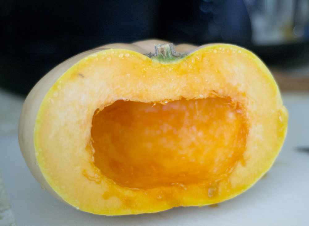 The World in My Kitchen: 2011