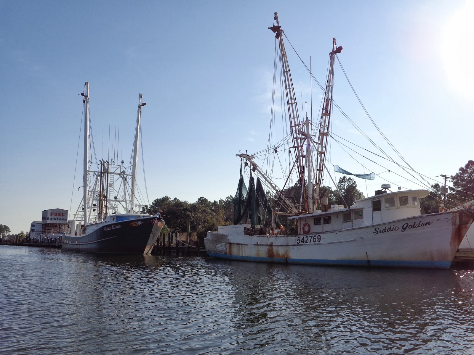 Life Aboard SERENADA: Alligator River - Pungo River Canal, Pungo River ...
