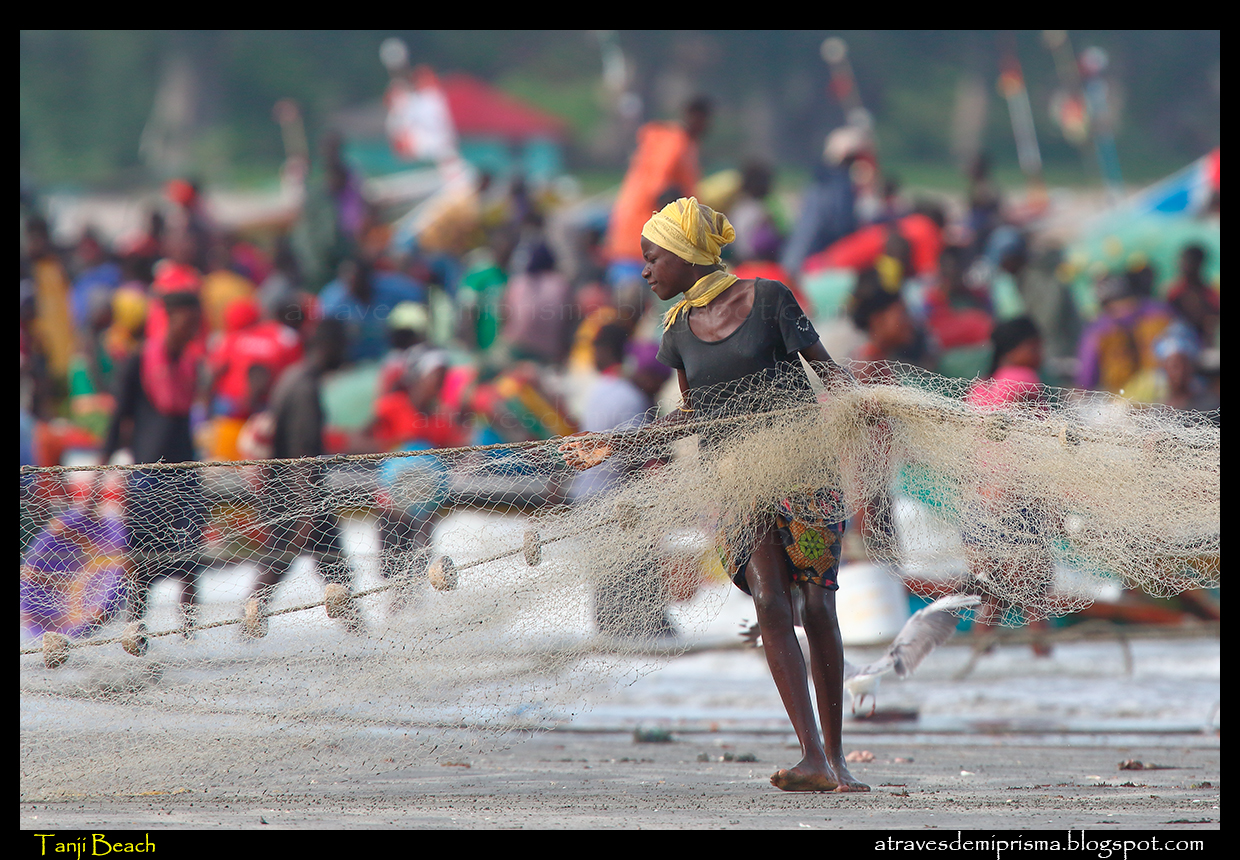 El Blog de Phyllobates: The Gambia VIII: Tanji Beach + Pirang Forest ...