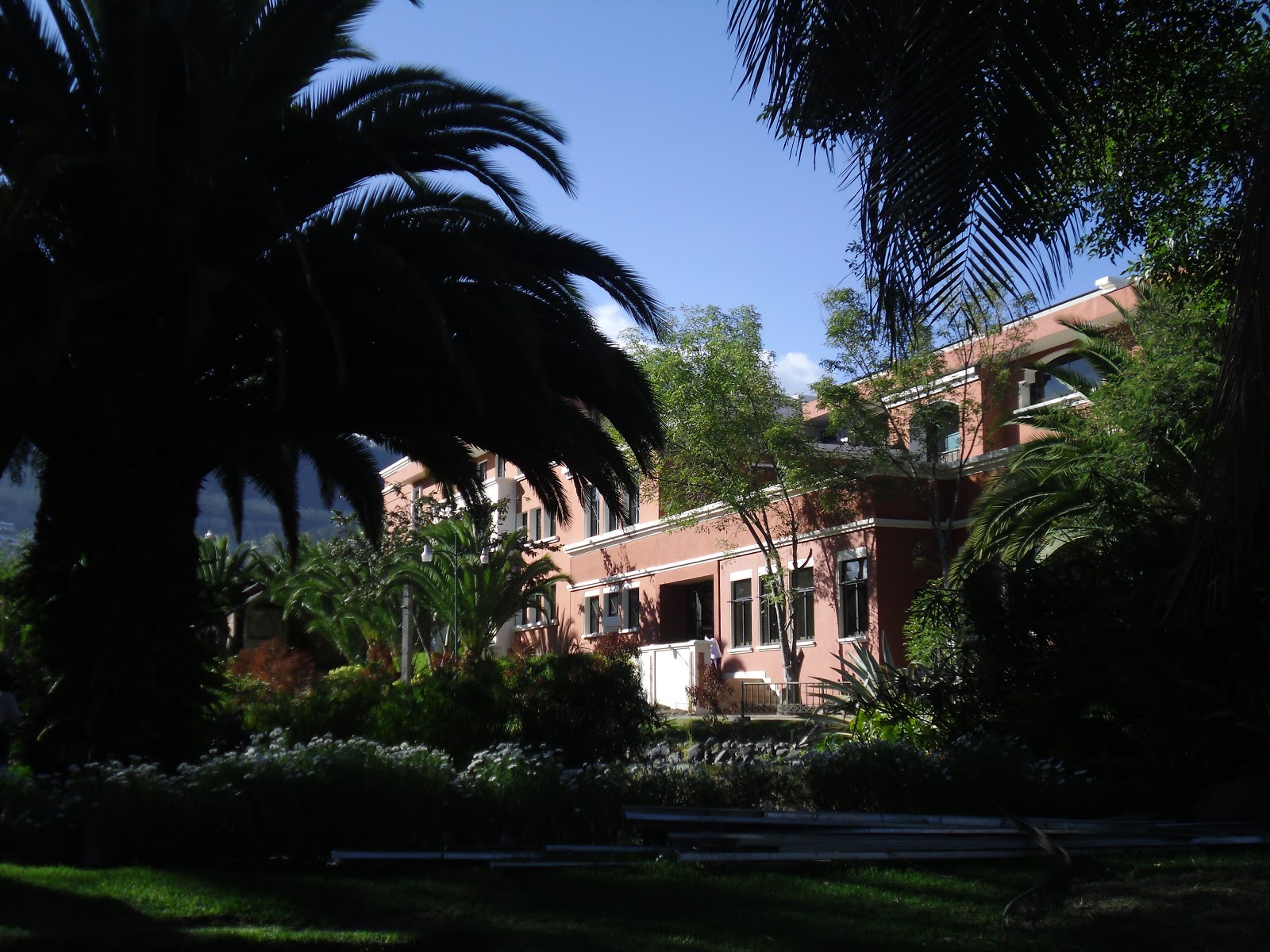 Mi vida en Quito: UNIVERSIDAD SAN FRANCISCO DE QUITO