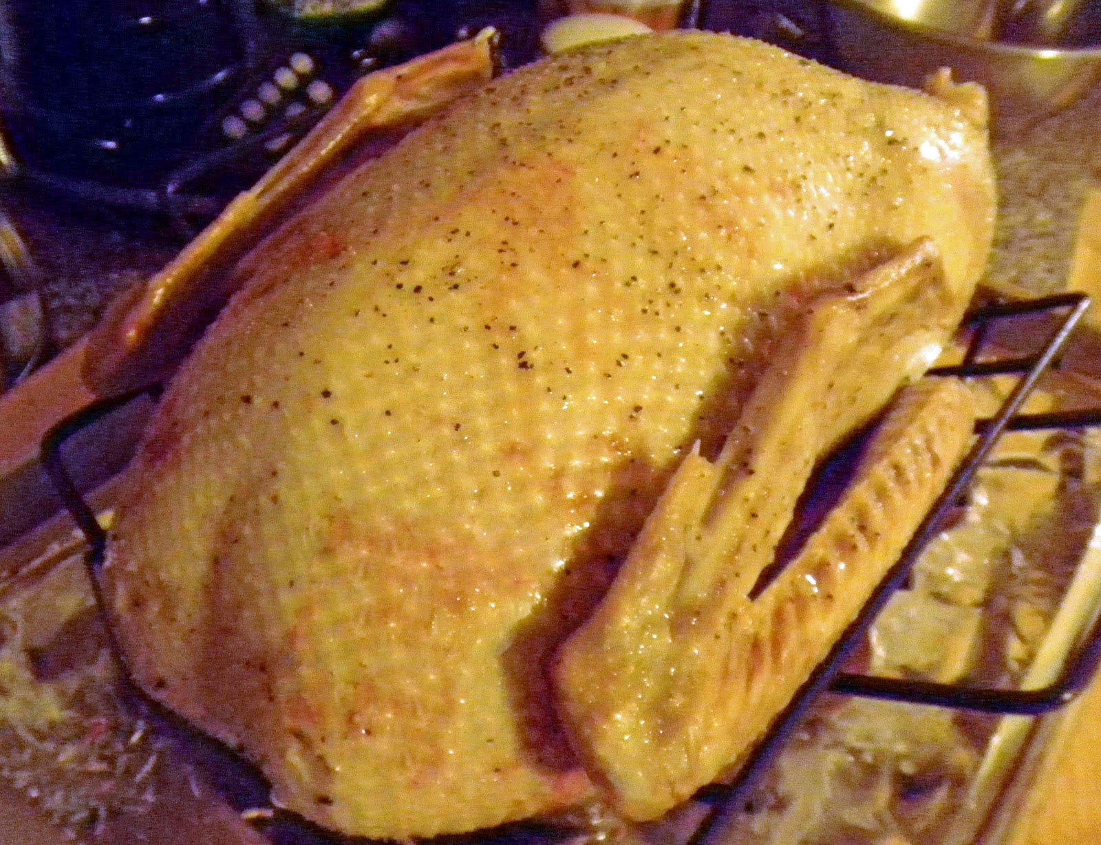Cecelia Heer's Culinary Corner: ROASTED GOOSE