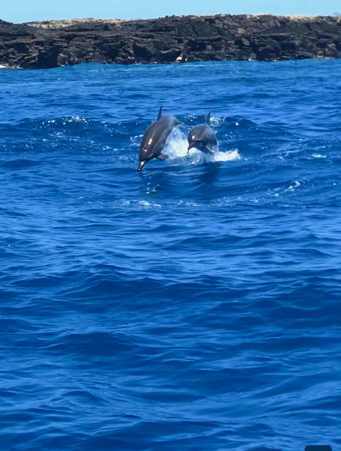 Hawaii Adventure Series: Deep Blue