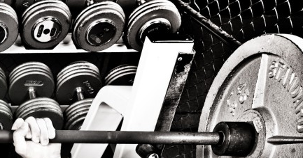 Bench Press - The Truth About the Effects of Bench Angle on Pec ...