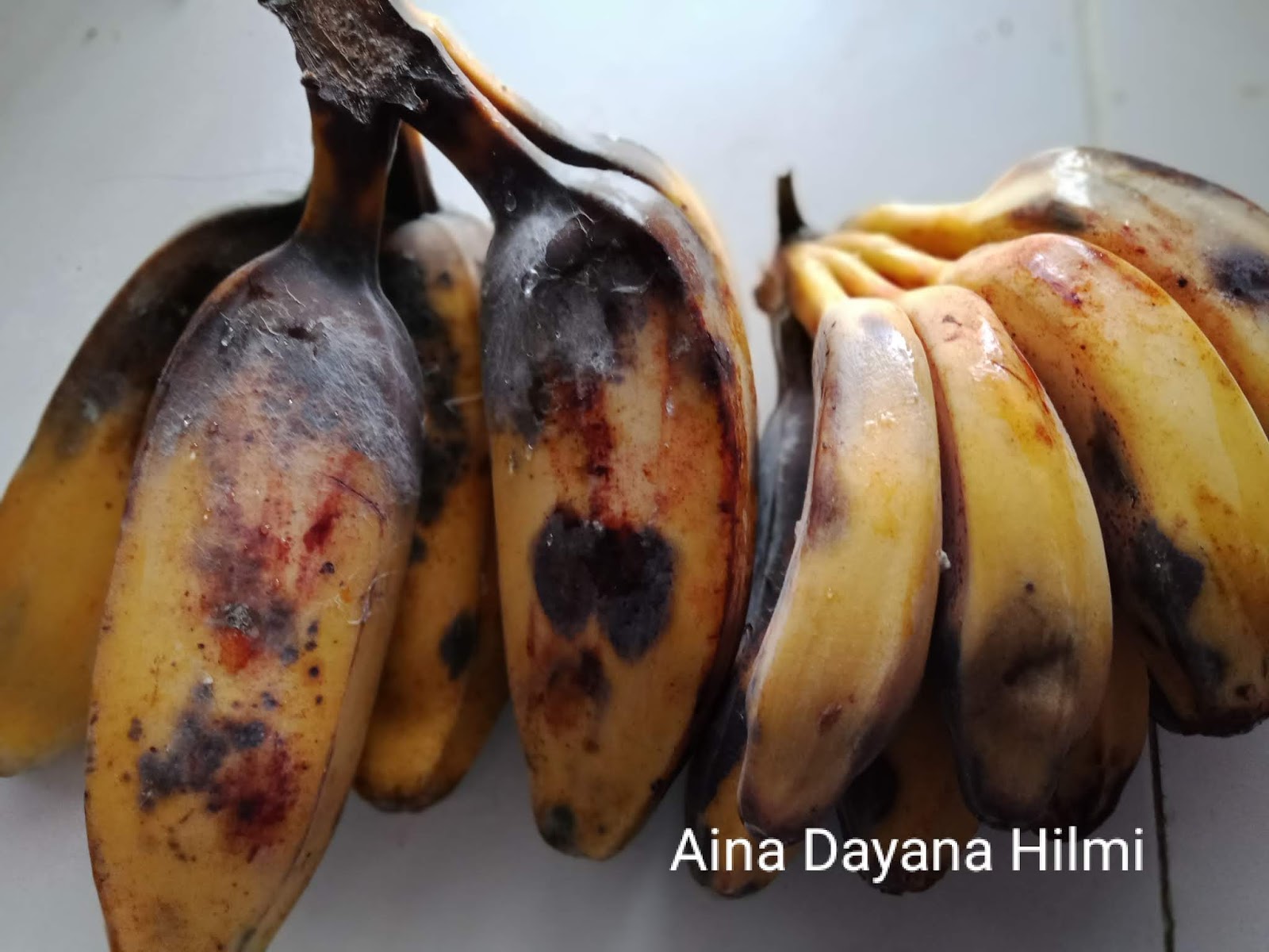Fitrah Homeschooling Pengat Pisang Nipah
