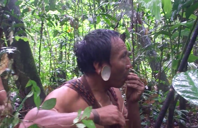 Povos Indígenas Brasileiros: Matis