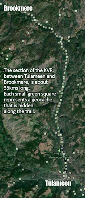 Trees, Trails & Tupperware