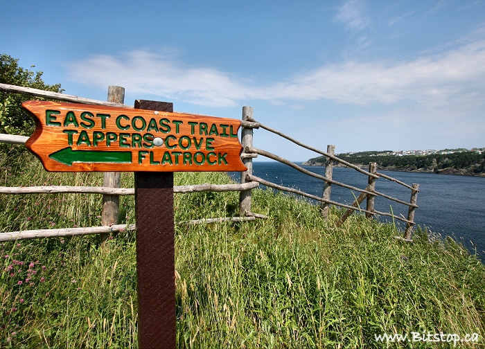 Bitstop: Father Troy Trail, Torbay