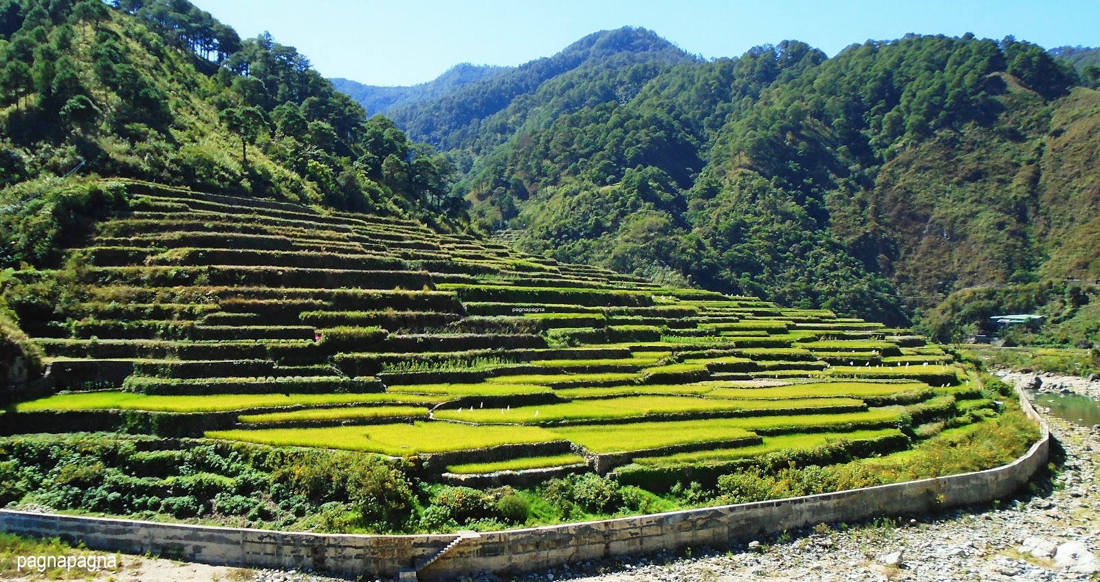 pagnapagna: Travel to BONTOC fet. KADCHOG Rice Terraces