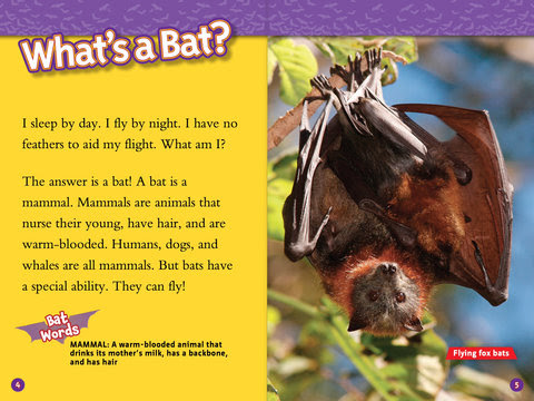 National Geographic Readers: Bats