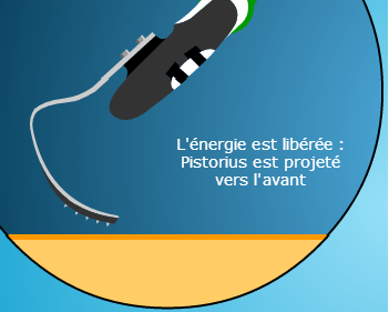 Les prothèses sportives