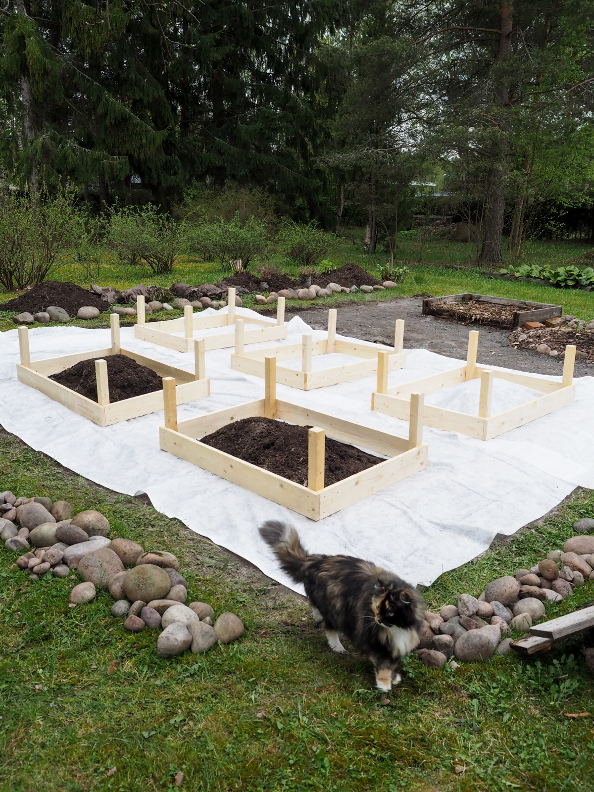 DIY - Kasvimaa viljelylaatikoihin — Keltainen kahvipannu