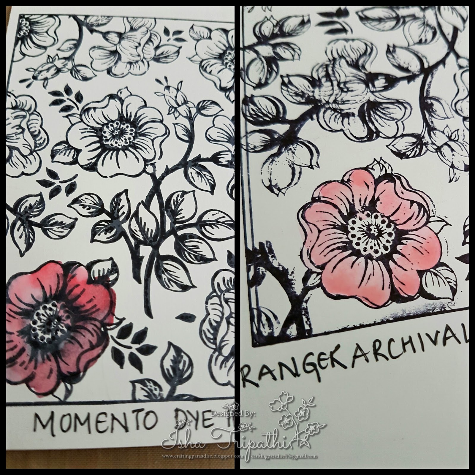 Crafters Corner : Stamping It is