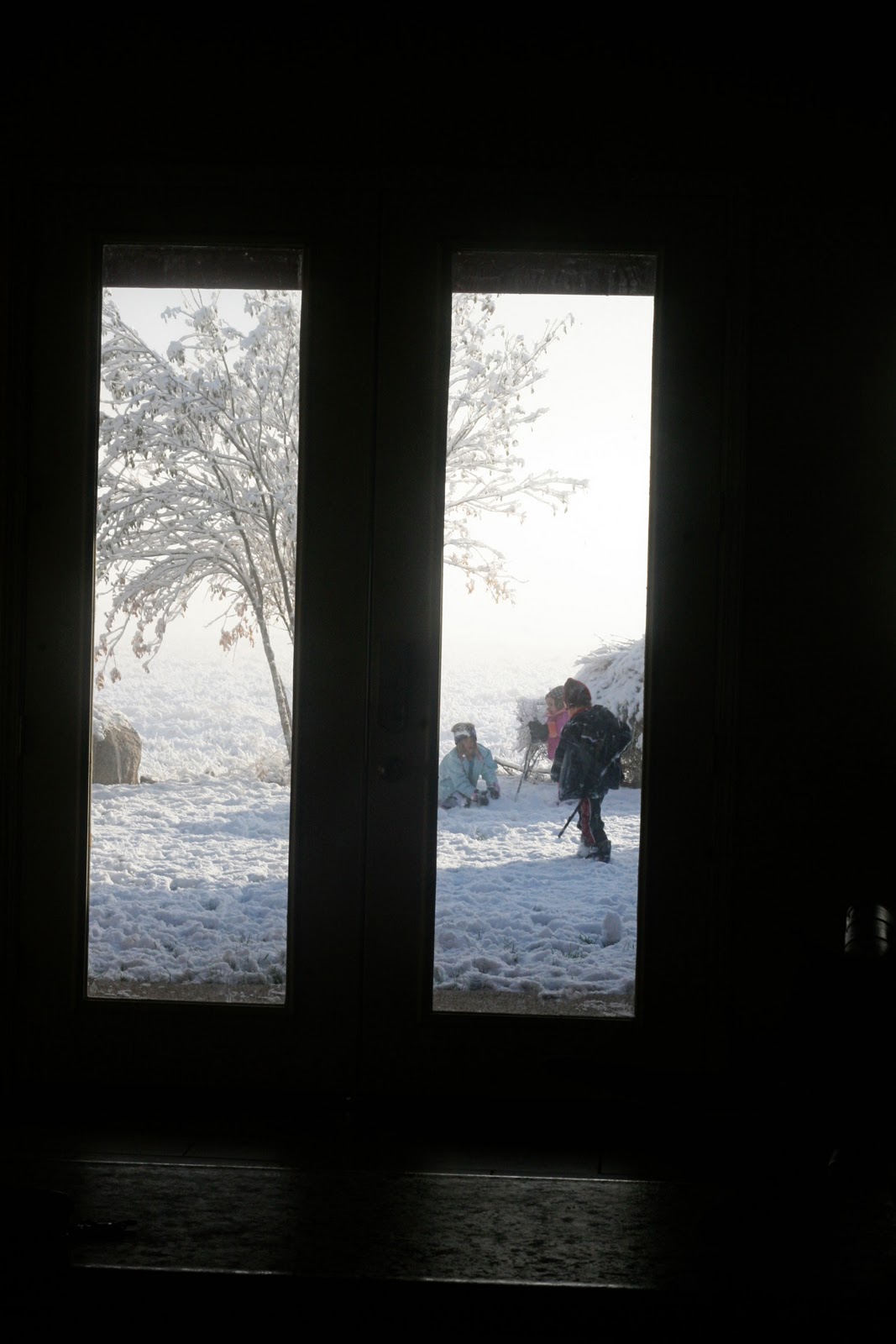 The Nelson Family Blog