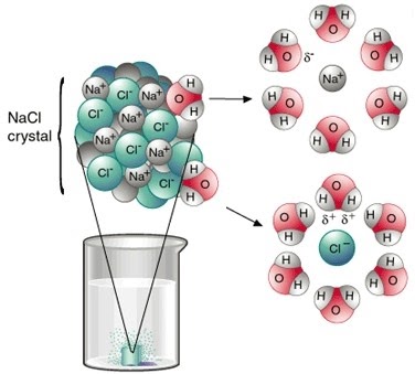 CAPACIDAD DE DISOLUCIÓN DEL AGUA LÍQUIDA