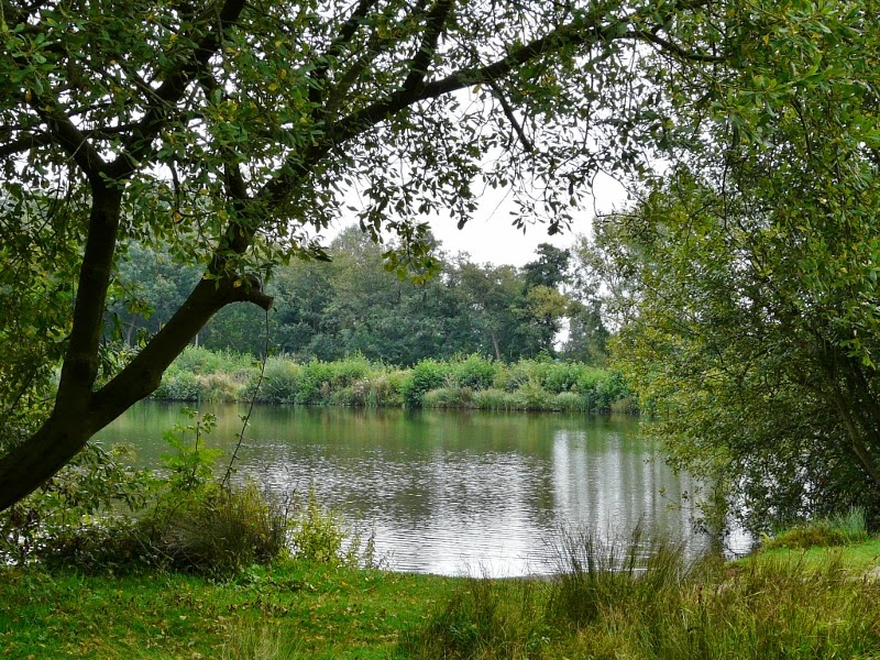 Cindy's Snaps: Hatfield Forest (stomping ground of my Hatfield Broad ...