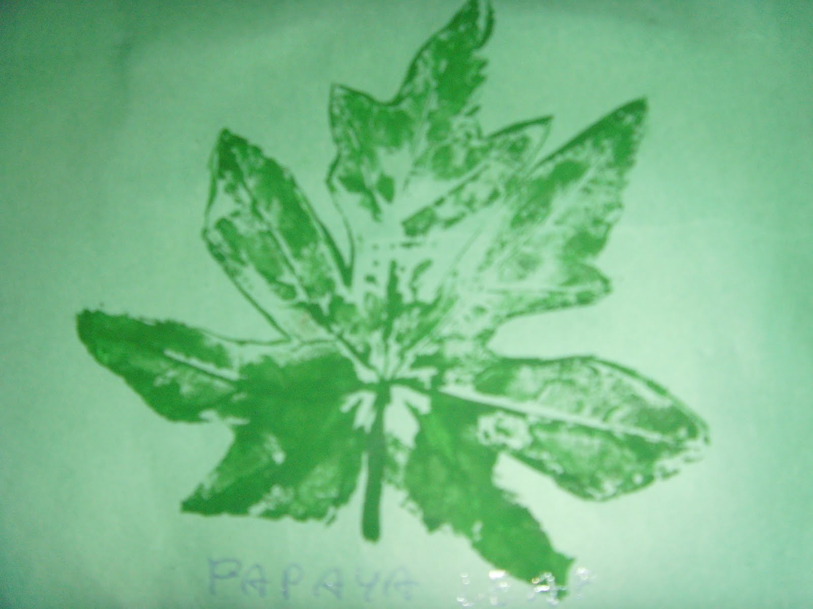 craft works: leaf tracing