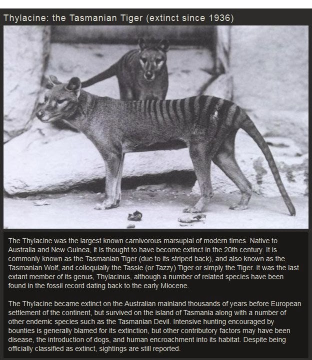 World Of Technology: Amazing Extinct Animals (10 Pics)