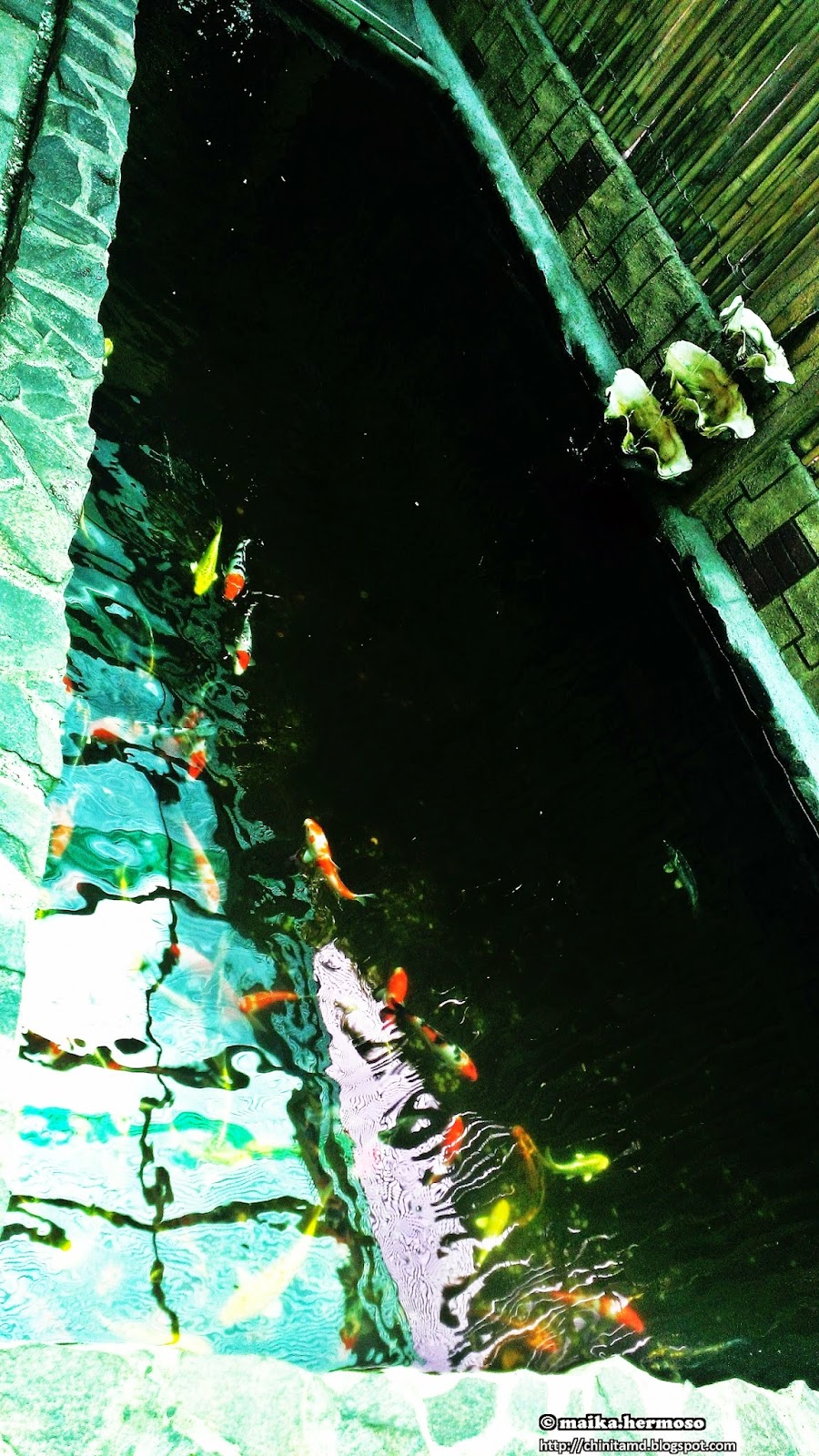 Everyday Breakfast at Tapsi ni Vivian Cainta - Bittersweet Symphony