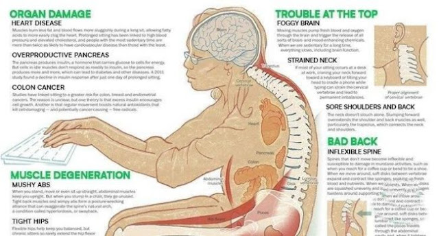 11 Health Dangers Of Sitting Too Long, And How It’s Slowly Crippling ...