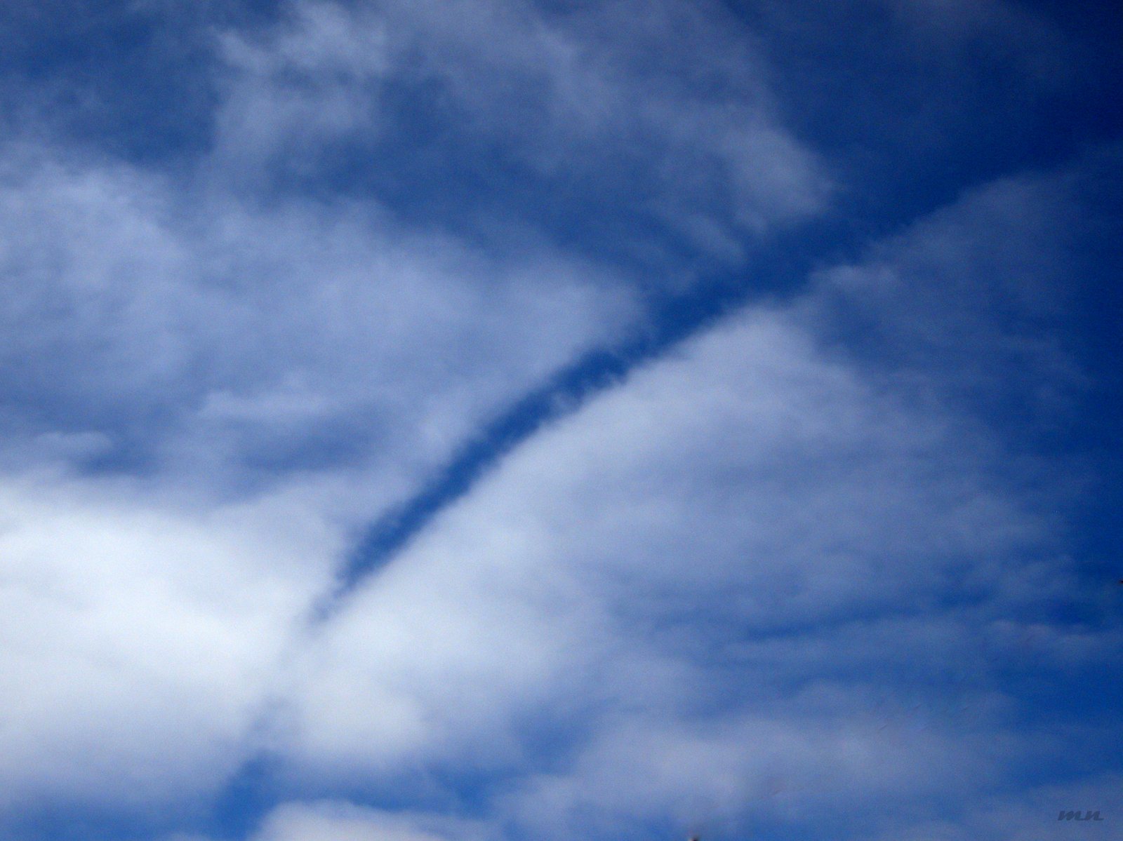 pics from the office: Distrail