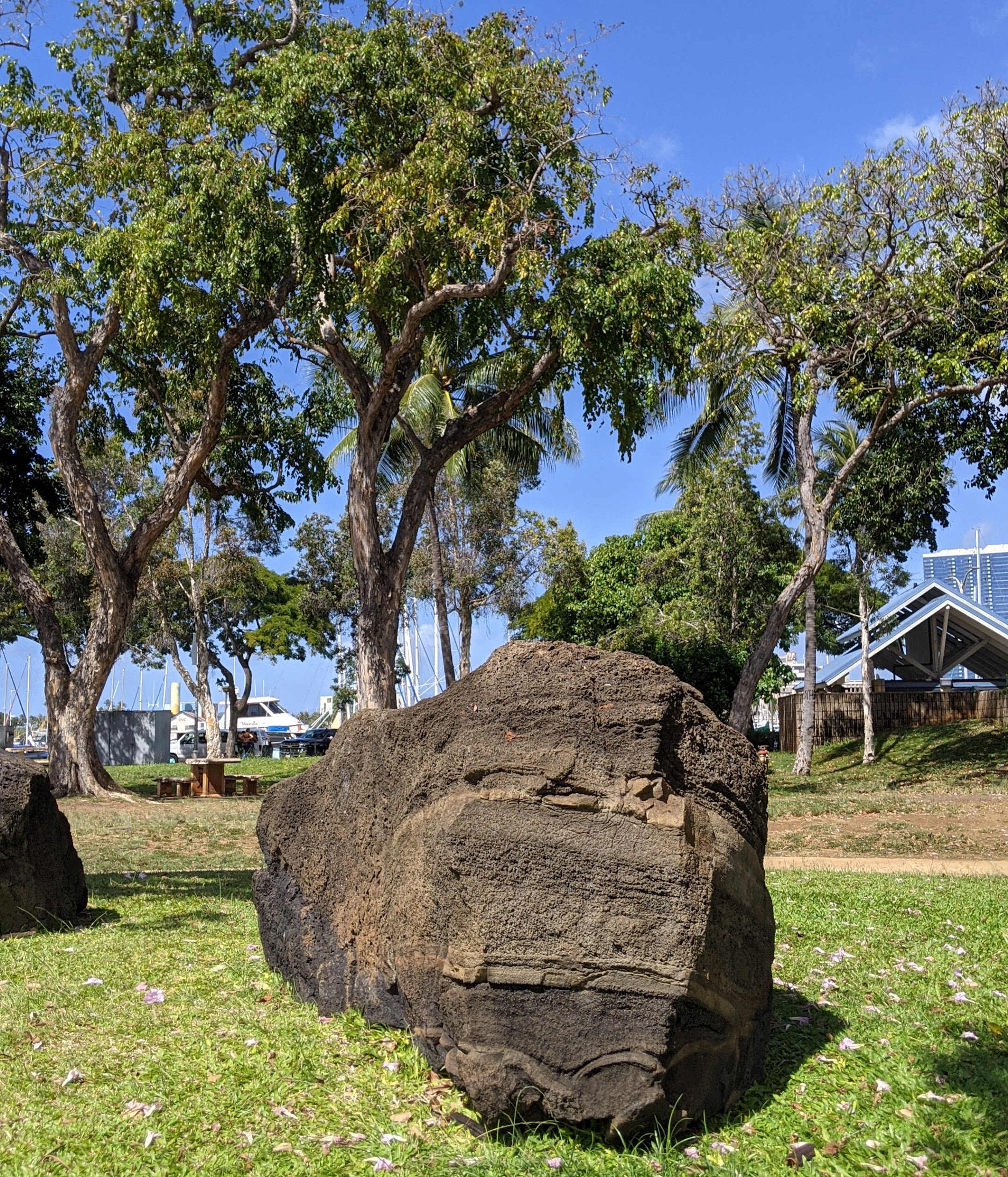 Comfort Spiral: Fragile Rock