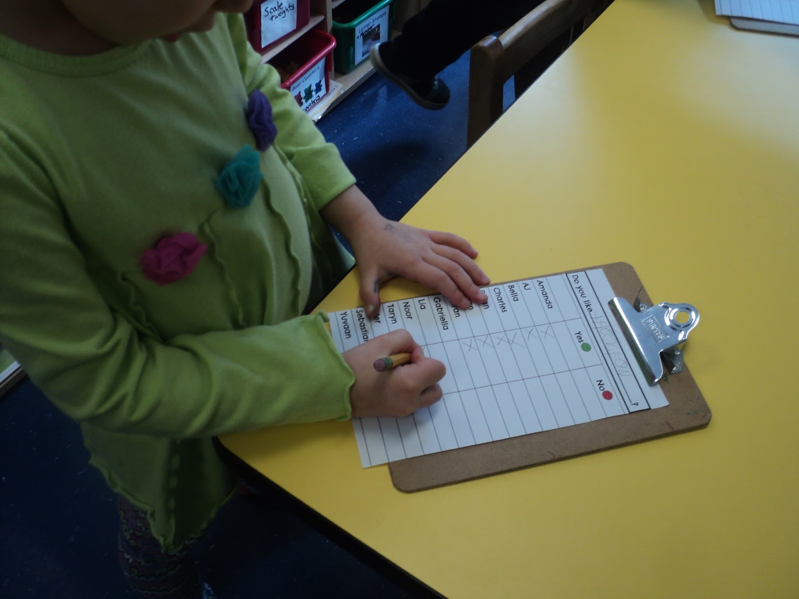 Cub Cadets Classroom News: Surveys in our classroom