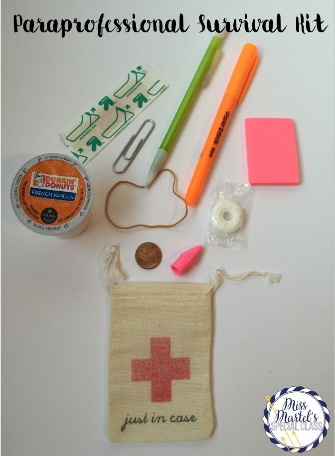Miss Martel's Special Class: Paraprofessional Survival Kit