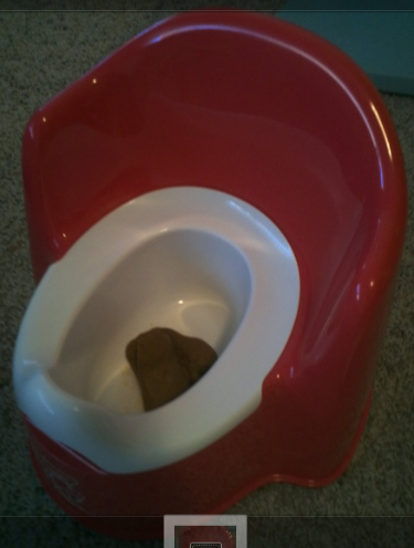 Beck Family Blessings: Thanksgiving Day 6 - and a potty training update
