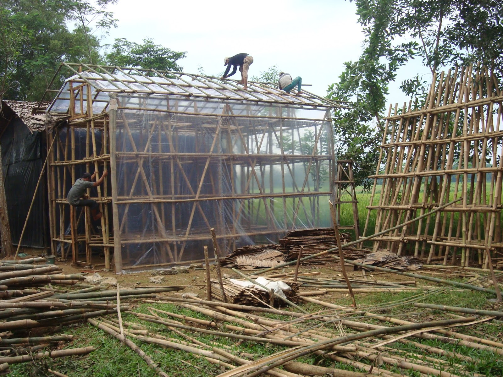 LINTANG JAMUR INDUSTRY: BUDIDAYA JAMUR MERANG MEDIA SAWIT (TANGKOS)