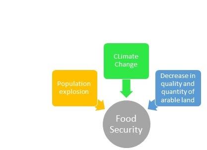 SUSTAINable Life: Sustainable Cooking – an imperative solution for the ...