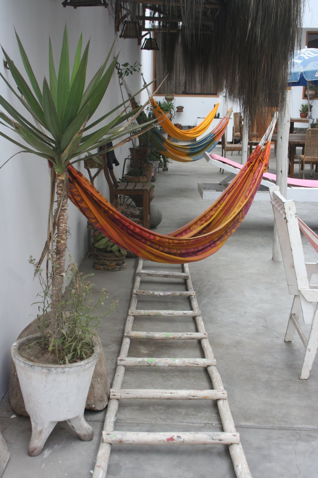 Lacey Parr: Peruvian Hammock: Success!