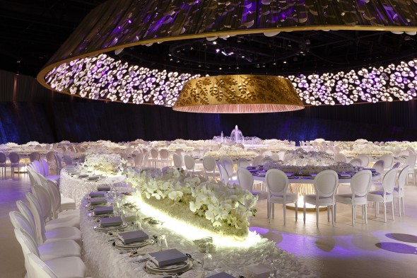 the cinderella project: because every girl deserves a happily ever ...