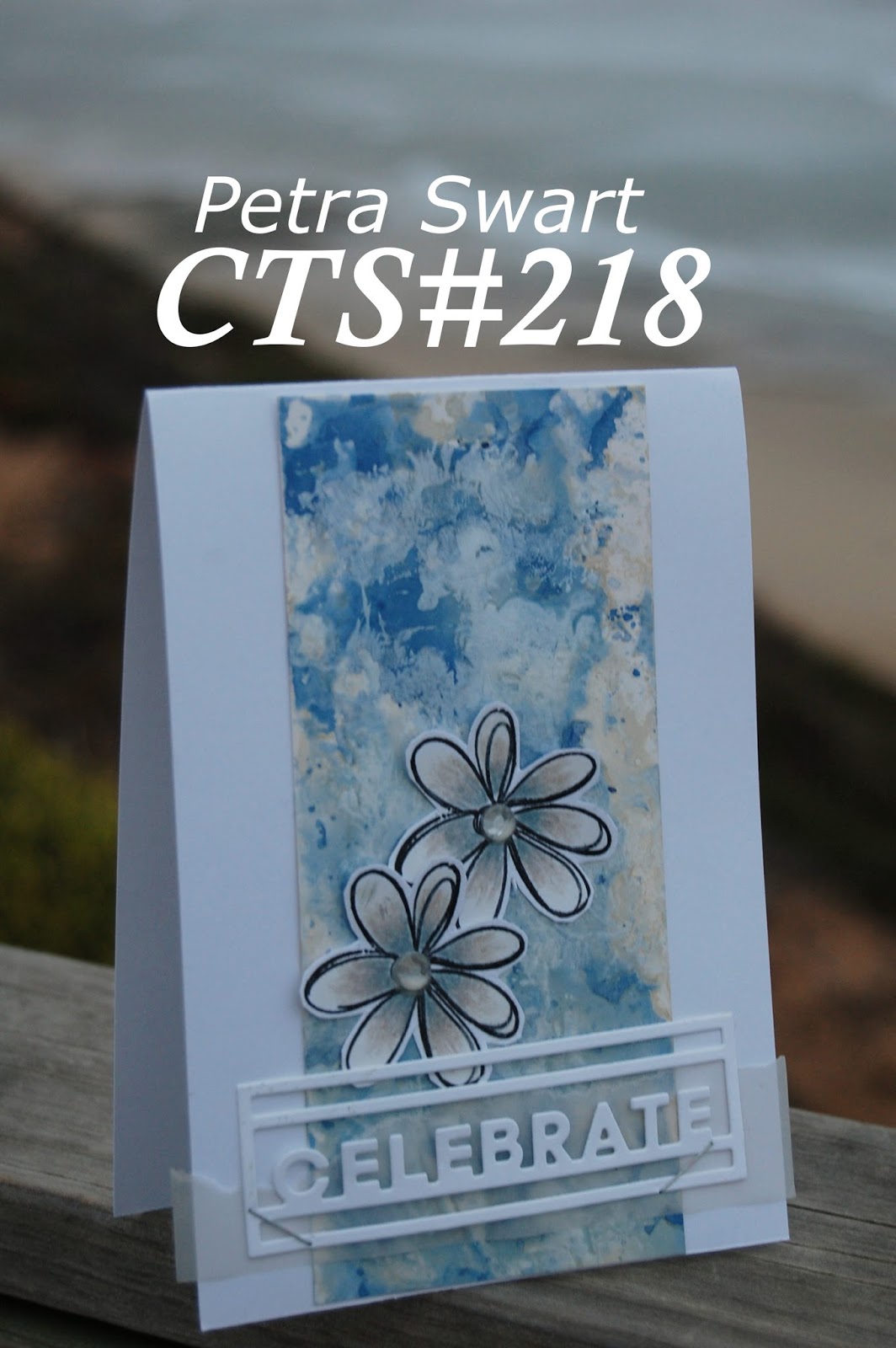 Kaartjie kreatief / Cards creative: FMS#284 and CTS#218