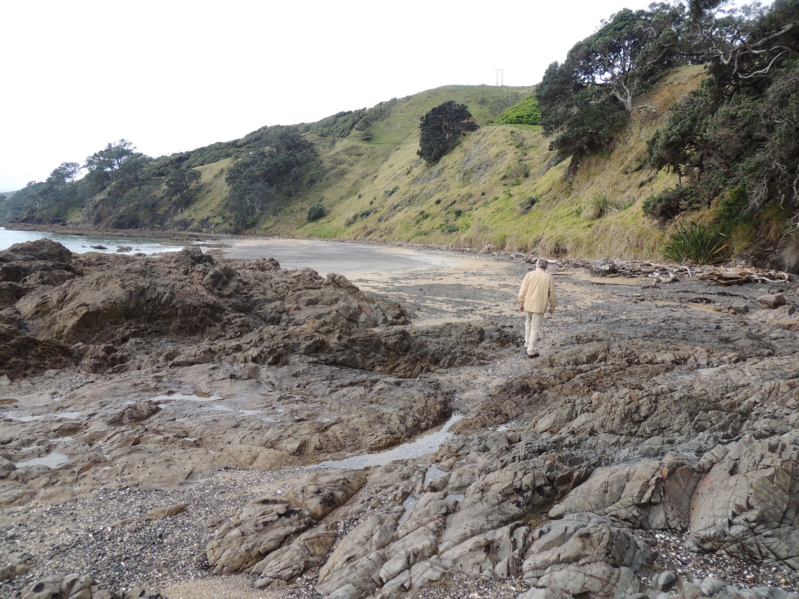 THE ROAD TAKEN : Amodeo Bay All Day