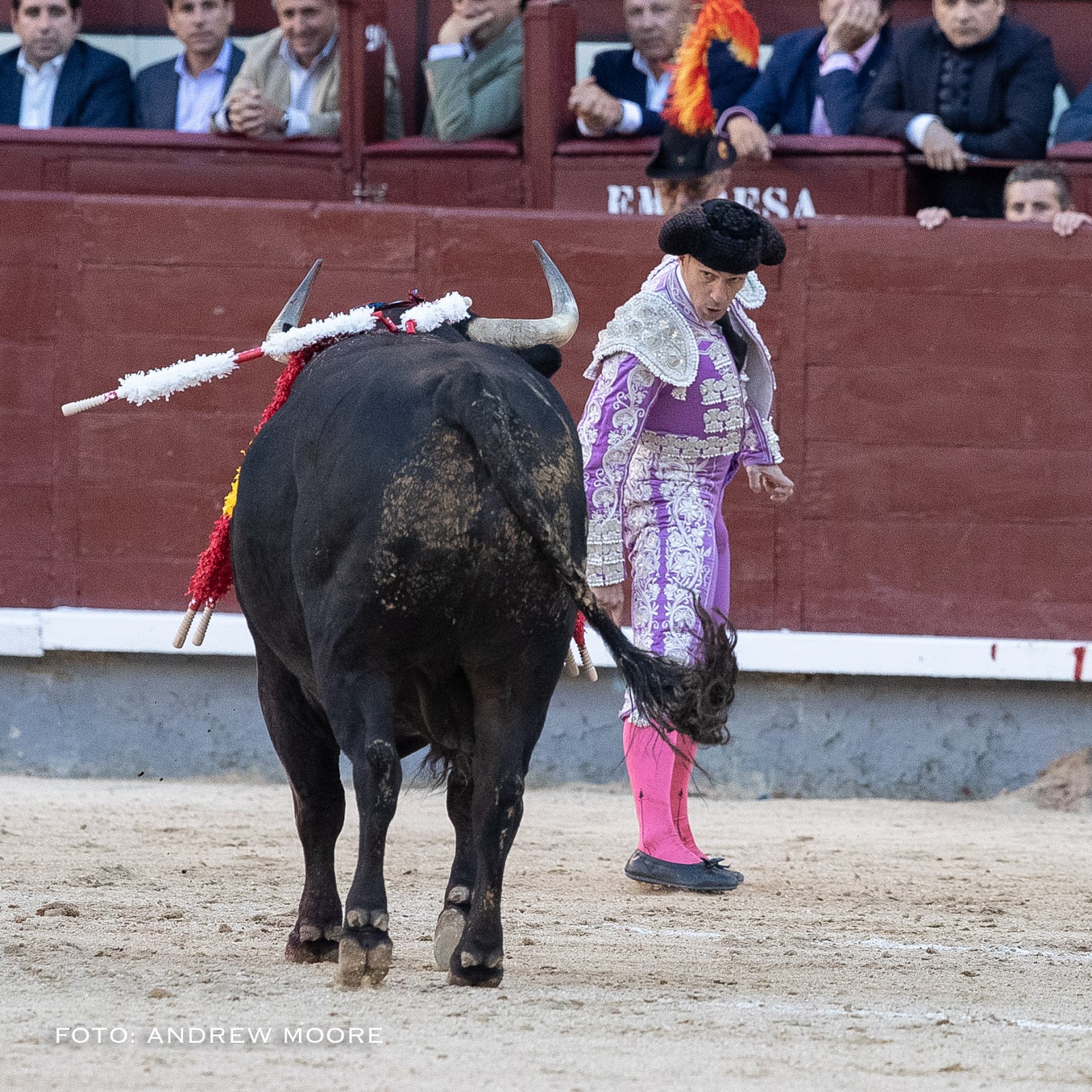 Del toro al infinito: Márquez & Moore. San Isidro'19. Tres cuatreños y ...