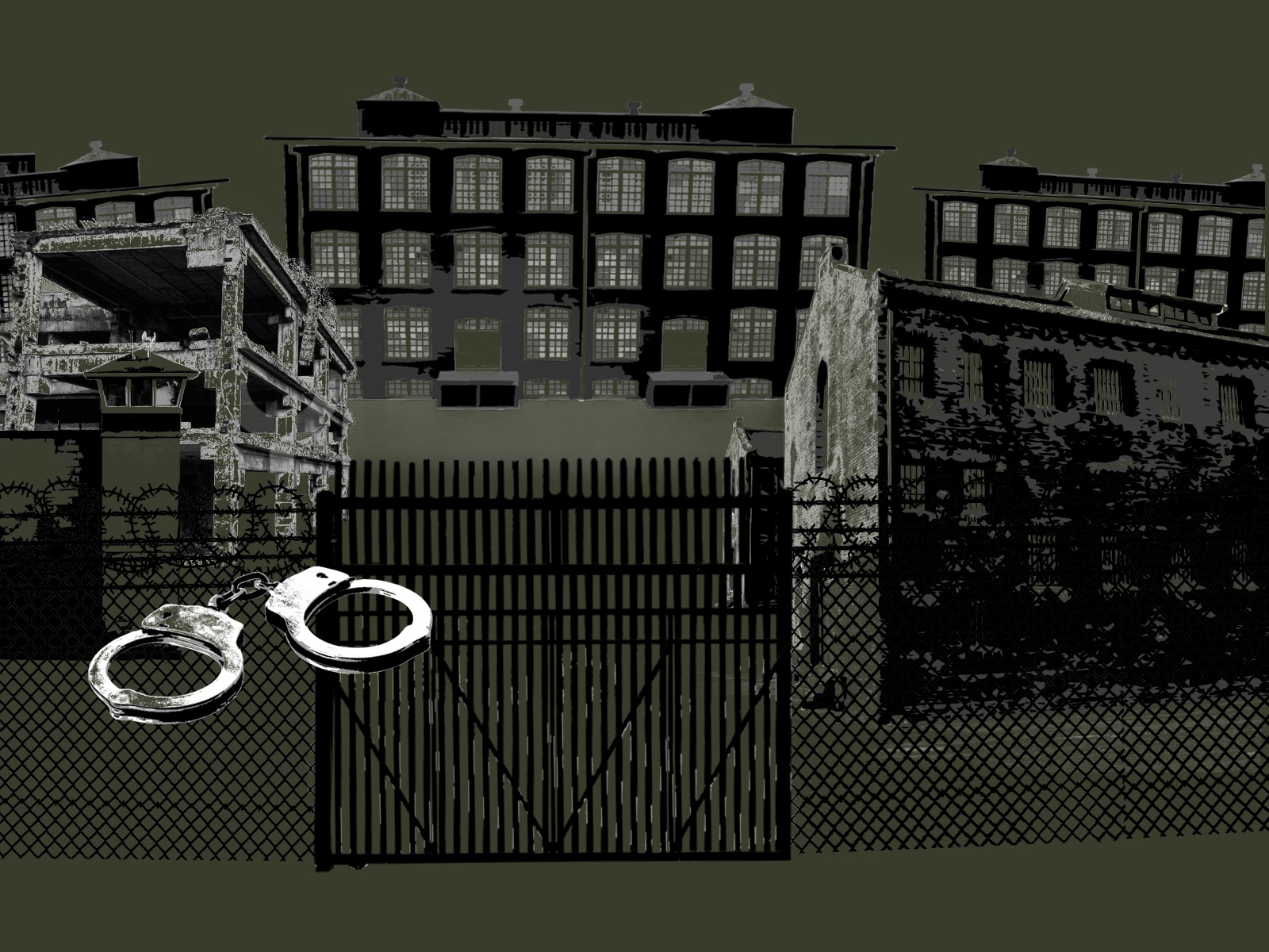 Hamish's Animation work